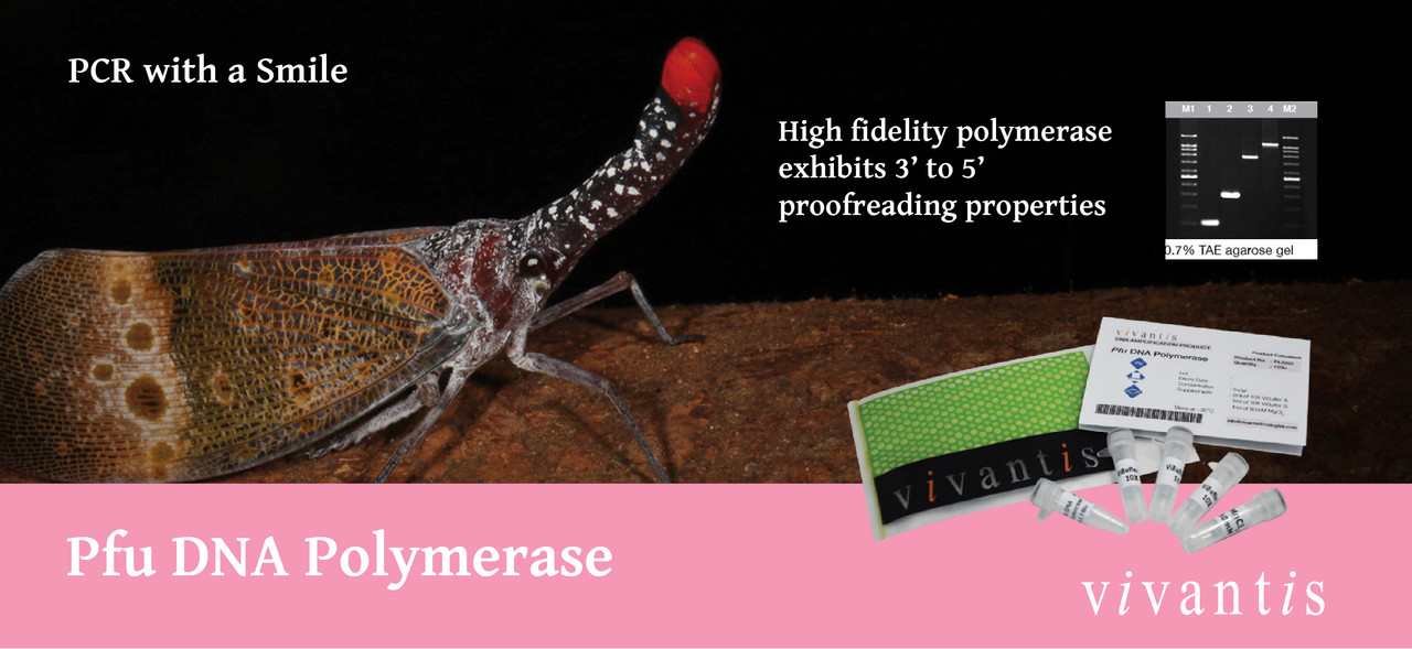 VIPRODUCT INSIGHT: Pfu DNA Polymerase